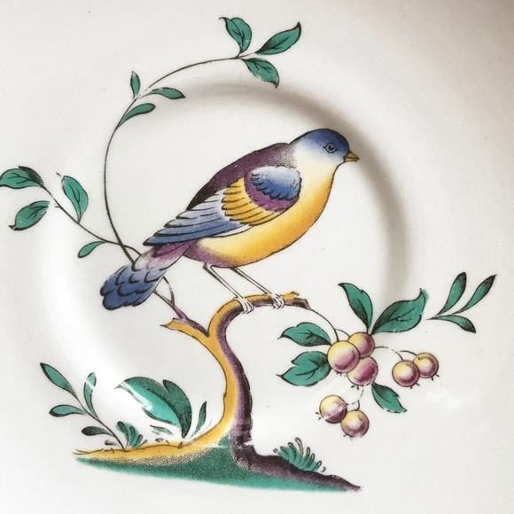 Spode | Dining | Copeland Spode England Queens Bird Cup And Saucer Set ...